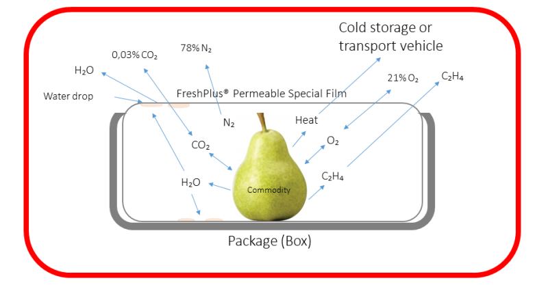 Modified Atmosphere Packaging (MAP) - FreshPlus